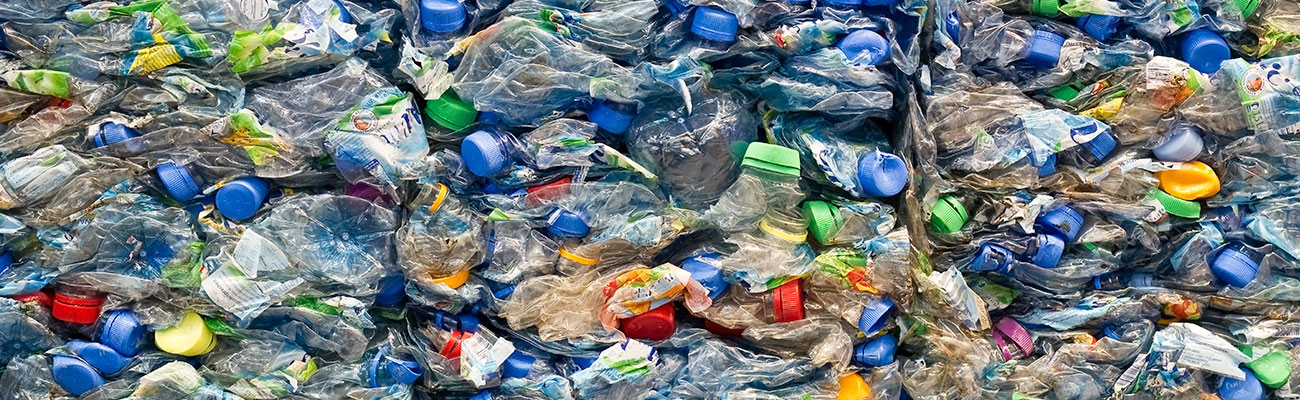 Reciclar PET, oportunidad de negocio - UIC.MX